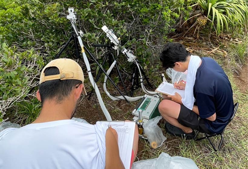 環境農学科 専門領域｜玉川大学農学部