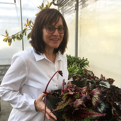 海外留学｜環境農学科｜玉川大学農学部